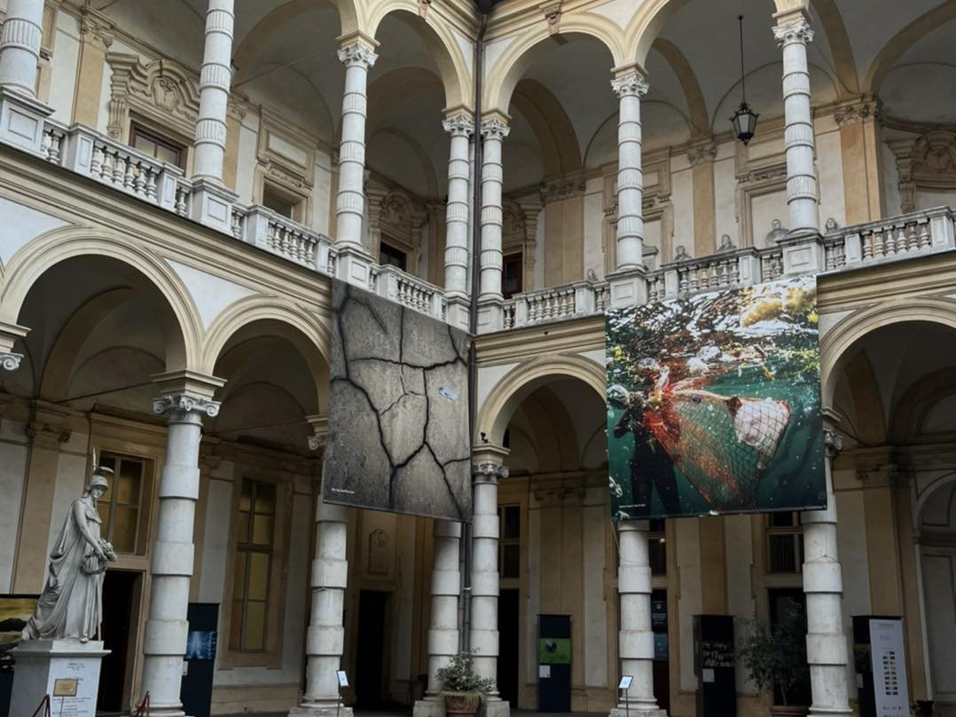 Adventures with Sarah | Blog | Piemonte staycation tour diary