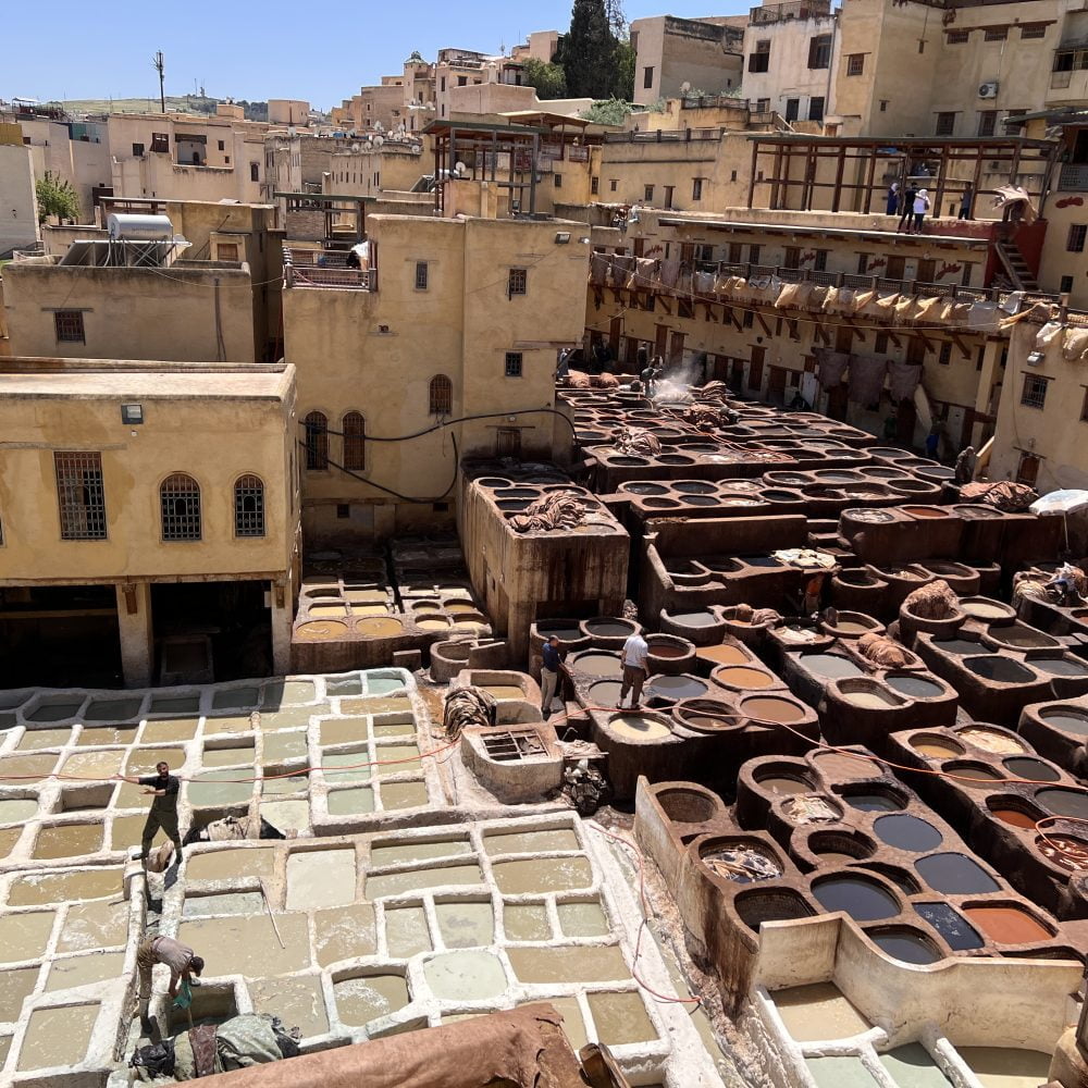 Adventures with Sarah | Tours | Morocco 2024