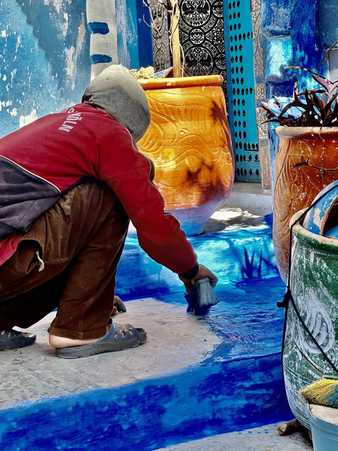 Adventures with Sarah | Blog | Morocco Tour Diary 2023